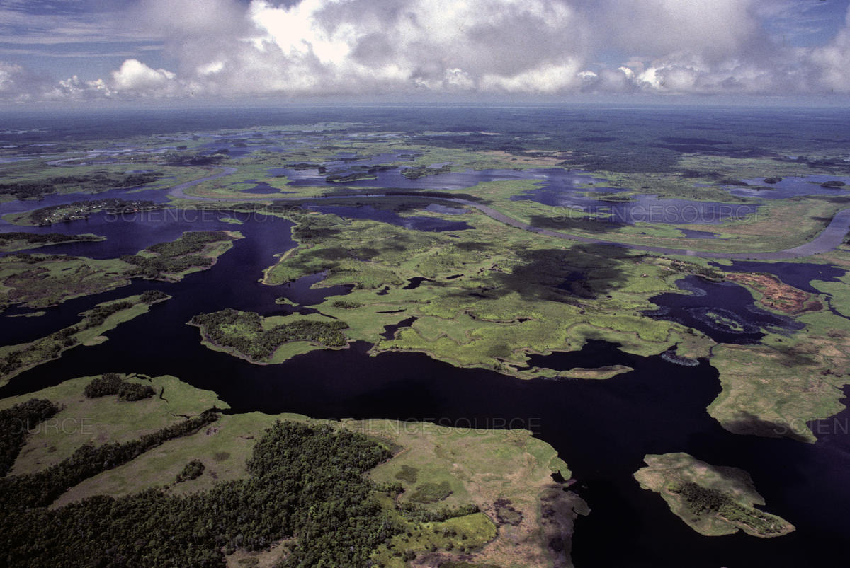 Morphological Redundancy – Why say something twice when once will do ...