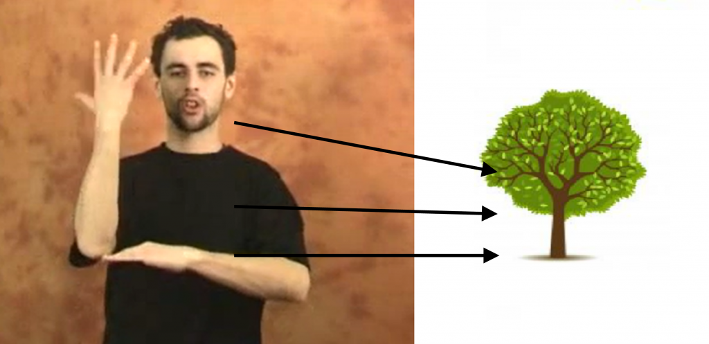 Isn’t it iconic? creating signs in sign languages – MORPH